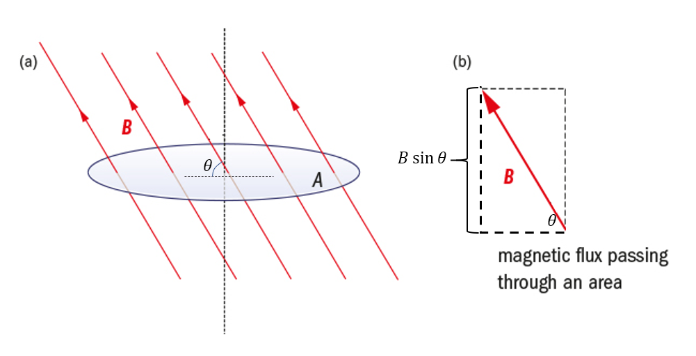 Natuurkunde.nl - Formule magnetische flux