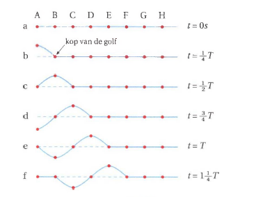 Natuurkunde.nl - De beweging van een golf