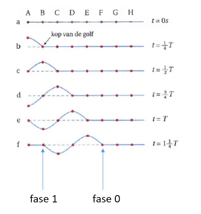 Natuurkunde.nl - De beweging van een golf