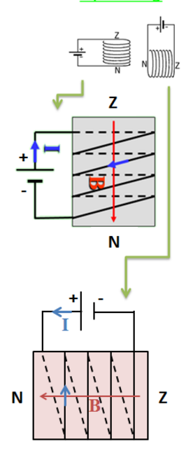 Natuurkunde.nl - Het magnetisch veld - positieve pool en negatieve pool